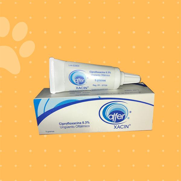 Alfer Xacin Unguento | Medicameto Para Perros, Oftálmicos | Veterinaria ...