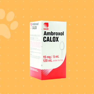 Perros | Veterinaria y Farmacia San Juan Roosevelt