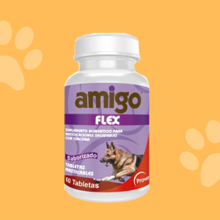 Salud y Bienestar Perros | Veterinaria y Farmacia San Juan Roosevelt