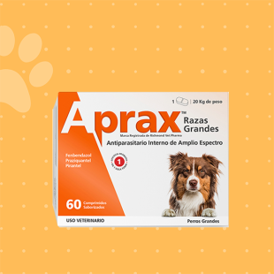 Desparasitante | Veterinaria y Farmacia San Juan Roosevelt