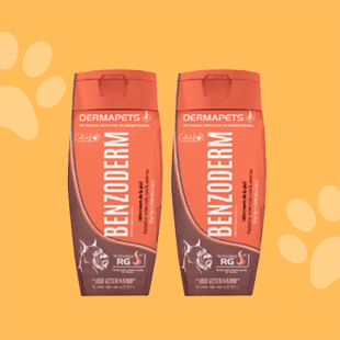 Salud y Bienestar Perros | Veterinaria y Farmacia San Juan Roosevelt