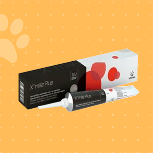 Antibiotico Bucal Triton | Antibiótico, Medicameto Para Perros ...