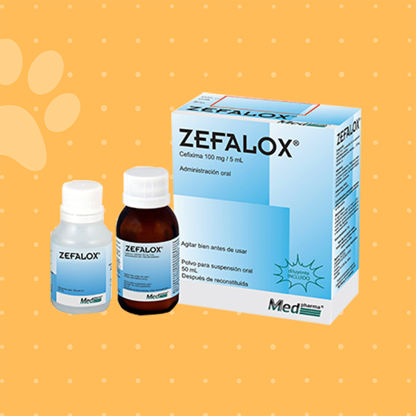 Zefalox Suspención 50ml | Medicameto Para Perros | Veterinaria y ...
