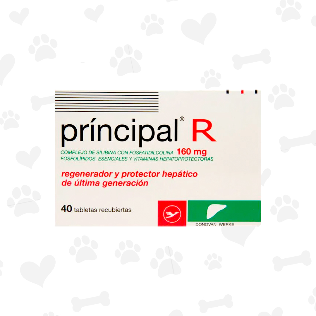 Principal R, Tabletas 160mg. 40 unidades | GATOS, Medicameto Para ...