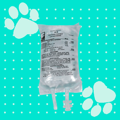 Suero Hartman 1000ml Solución Inyectable | Productos Hospitalarios ...