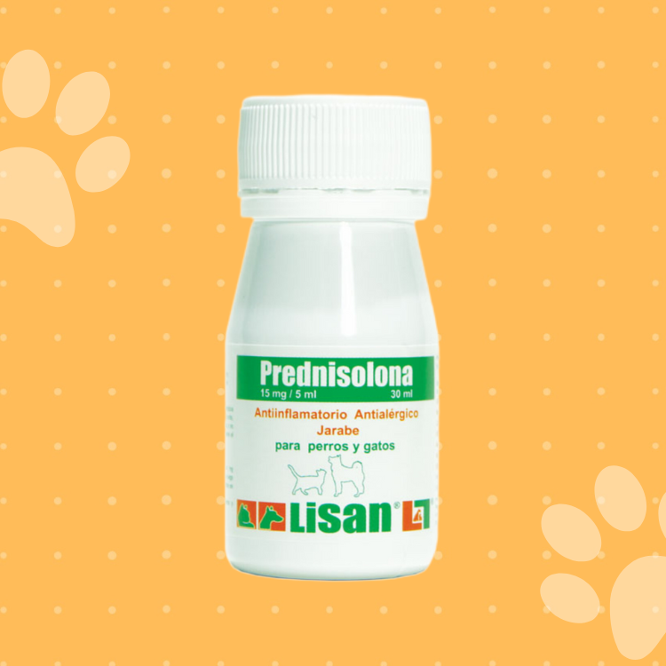 Prednisolona Jarabe, 30ml | Medicameto Para Perros | Veterinaria y ...
